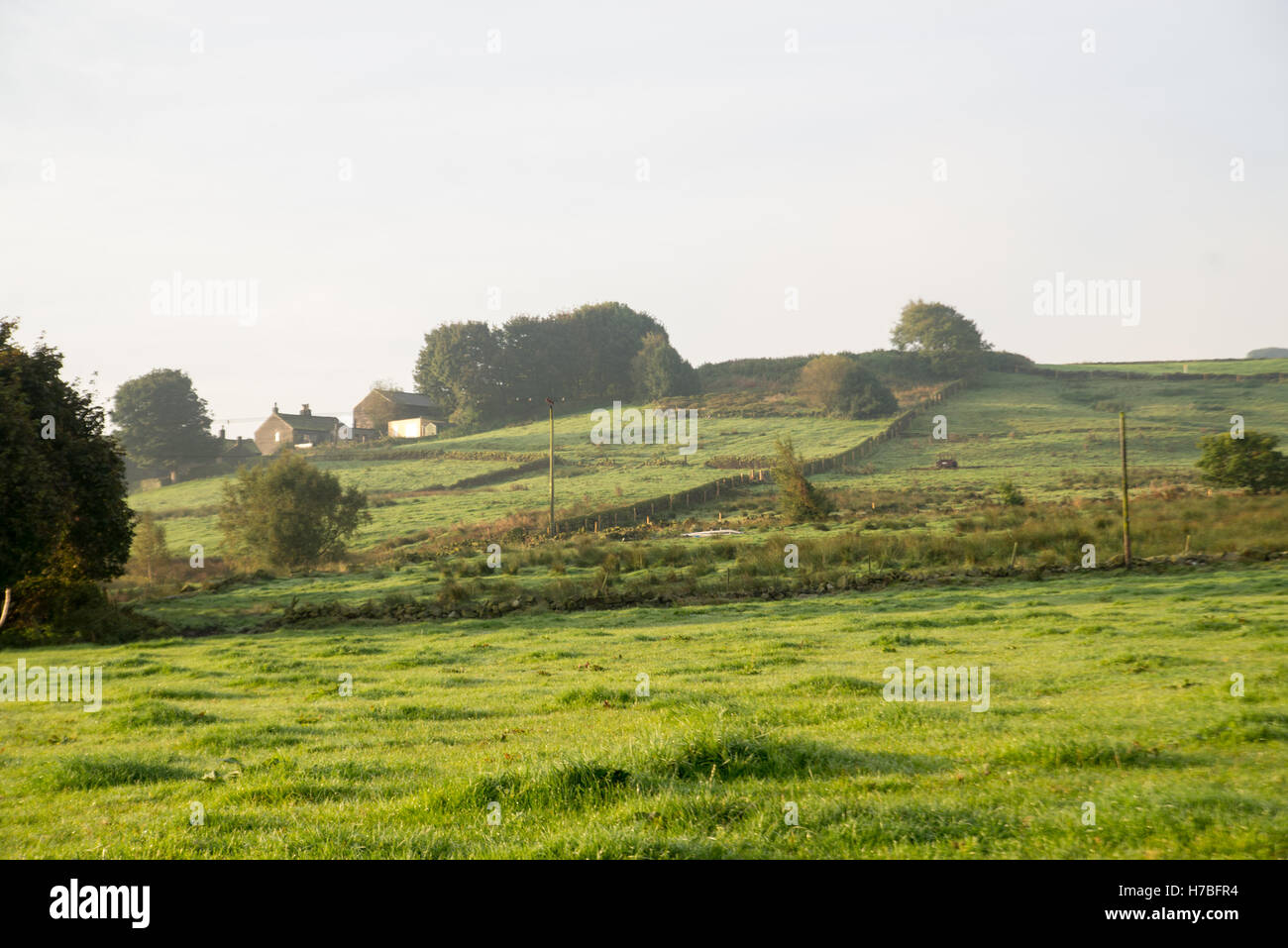 Country scene hi-res stock photography and images - Alamy