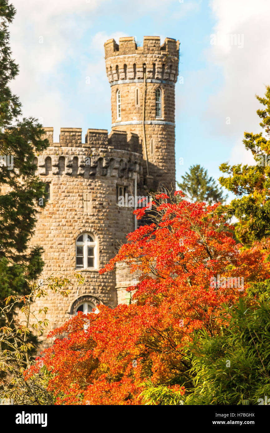 Cyfarthfa castle and park hi-res stock photography and images - Alamy