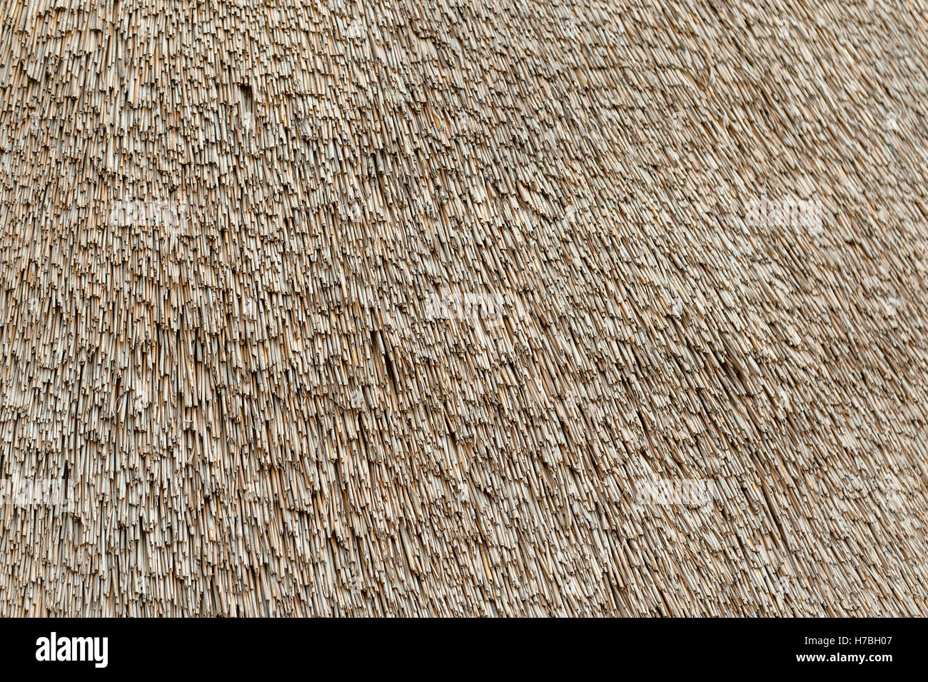 Thatched Roof Texture Seamless