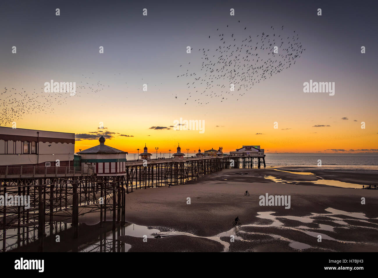 Blackpool sunset beach pier starlings swarming. Lancashire North West ...