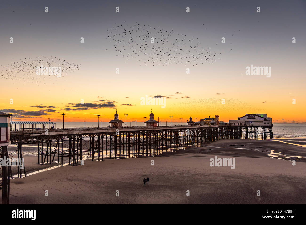 Blackpool sunset beach pier starlings swarming. Lancashire North West ...