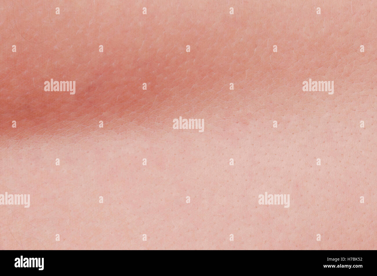 Human skin texture hi-res stock photography and images - Alamy