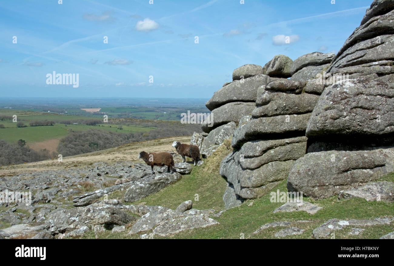 Belstone Common, Dartmoor, looking northwest Stock Photo - Alamy