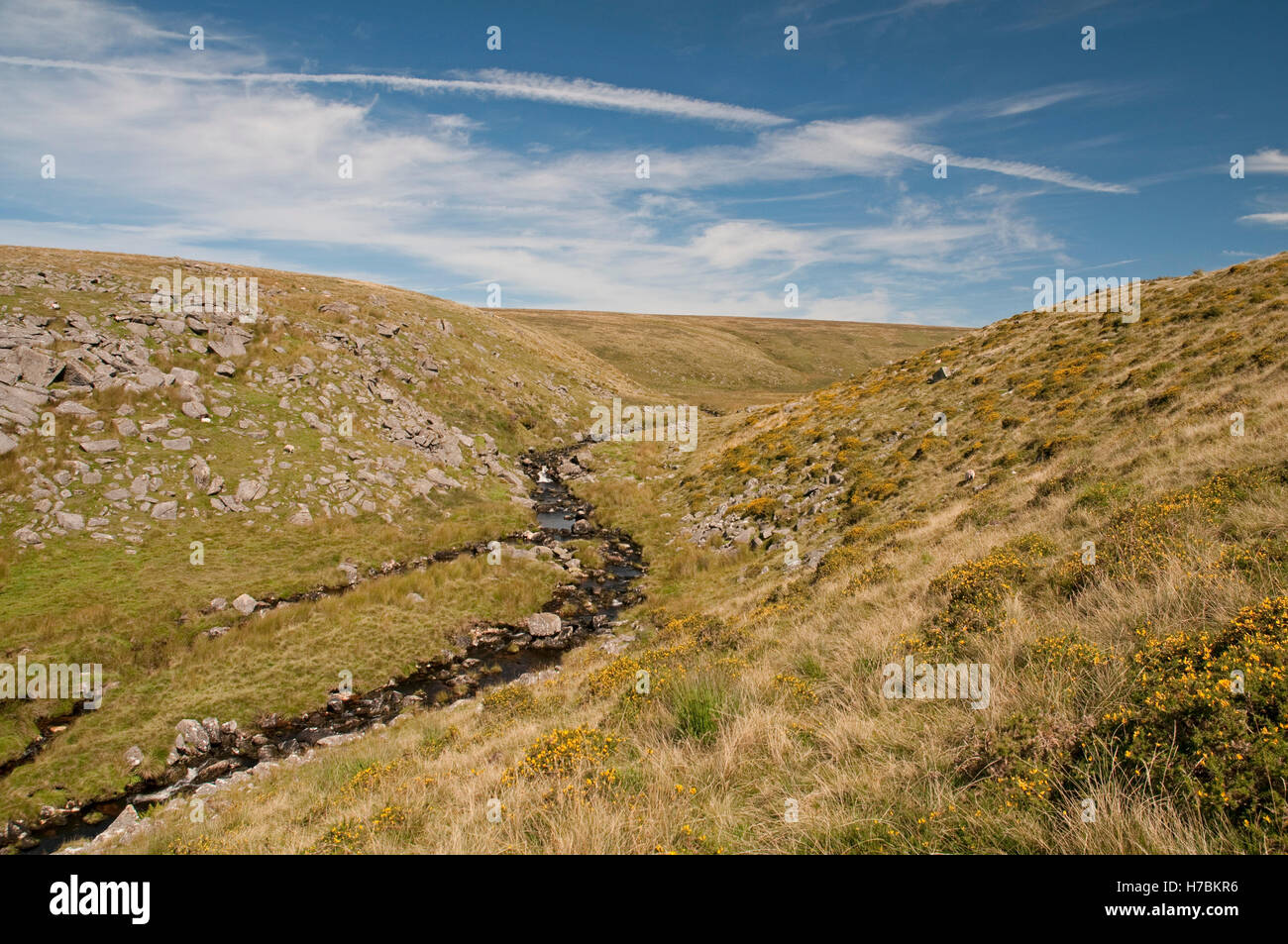 The valley of the River Walkham near Great Mis Tor on Dartmoor Stock ...