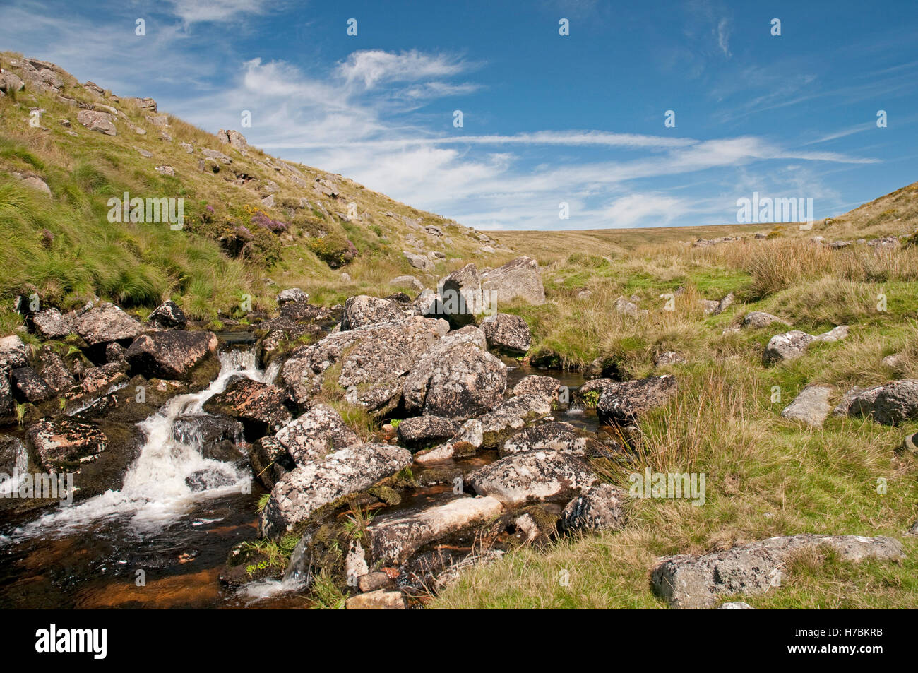 The valley of the River Walkham near Great Mis Tor on Dartmoor Stock ...
