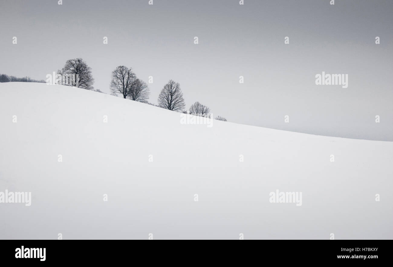 minimal winter landscape with trees and snow Stock Photo - Alamy