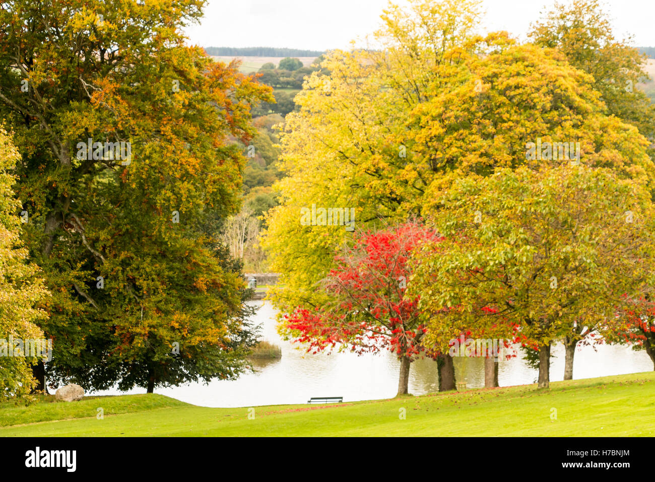 Trees and autumn colours, Cyfarthfa Castle and Park, Merthyr Tydfil ...
