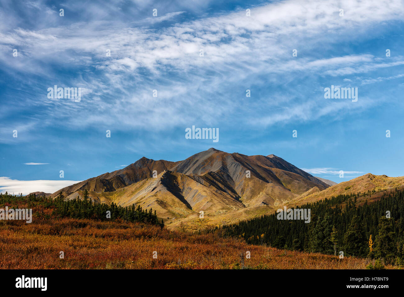 Early morning light on Sable Mountain near Igloo in Denali National ...