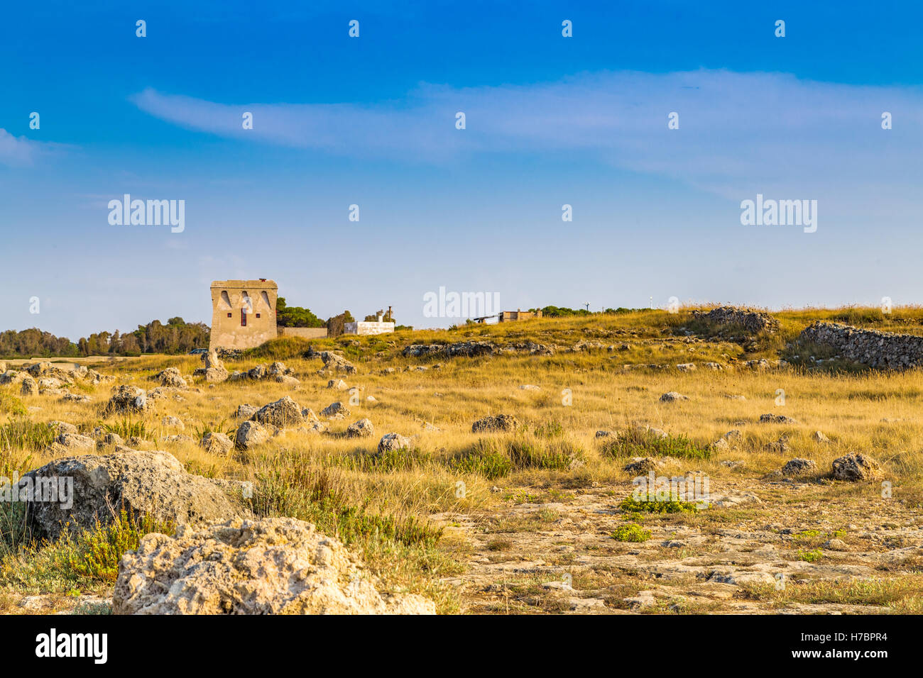 ancient tower in the Apulian countryside Stock Photo - Alamy