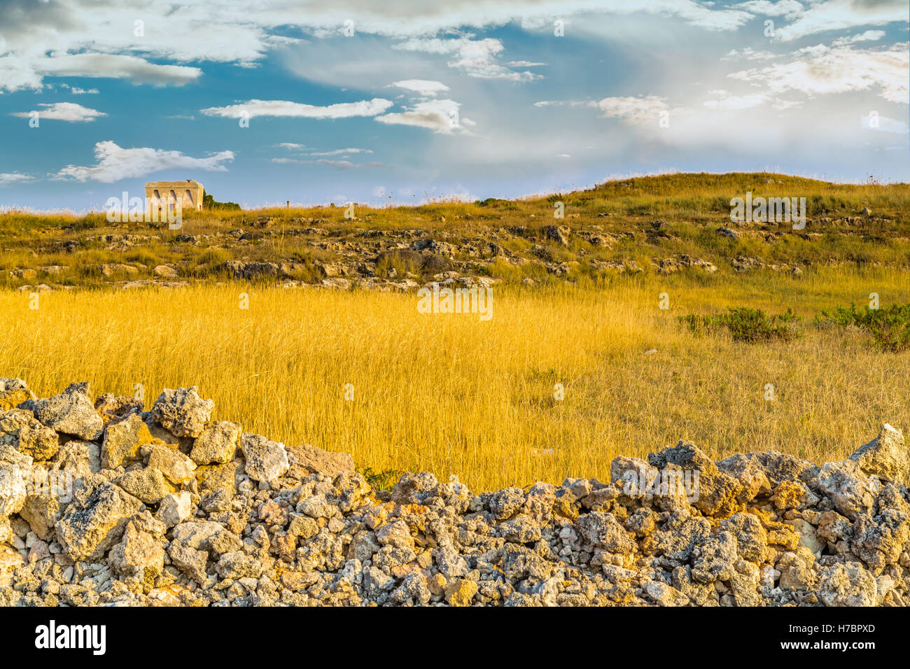 ancient tower in the Apulian countryside Stock Photo - Alamy