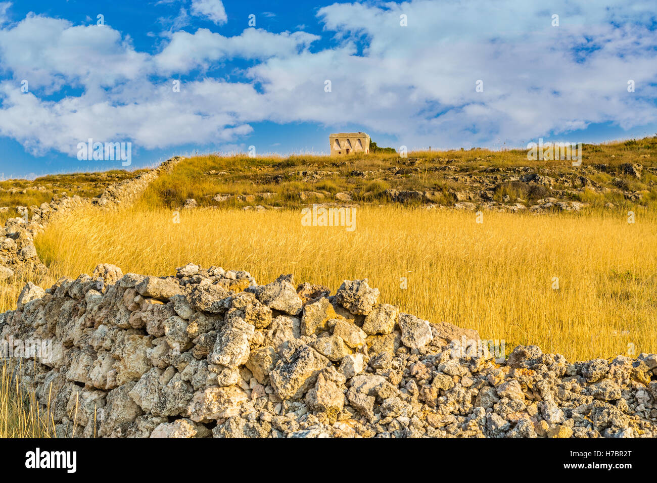 ancient tower in the Apulian countryside Stock Photo - Alamy