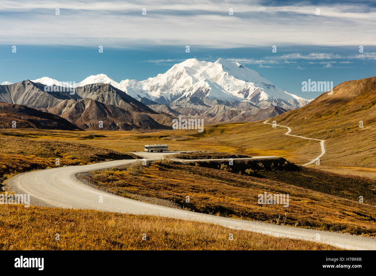 Tundra wilderness tour denali national park hi-res stock photography ...