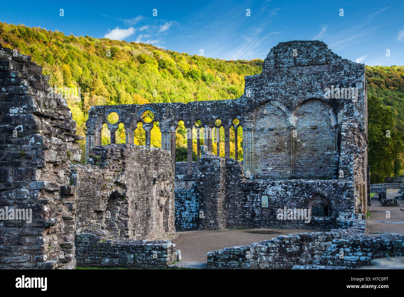 Tintern Abbey in Monmouthshire, Wales Stock Photo - Alamy