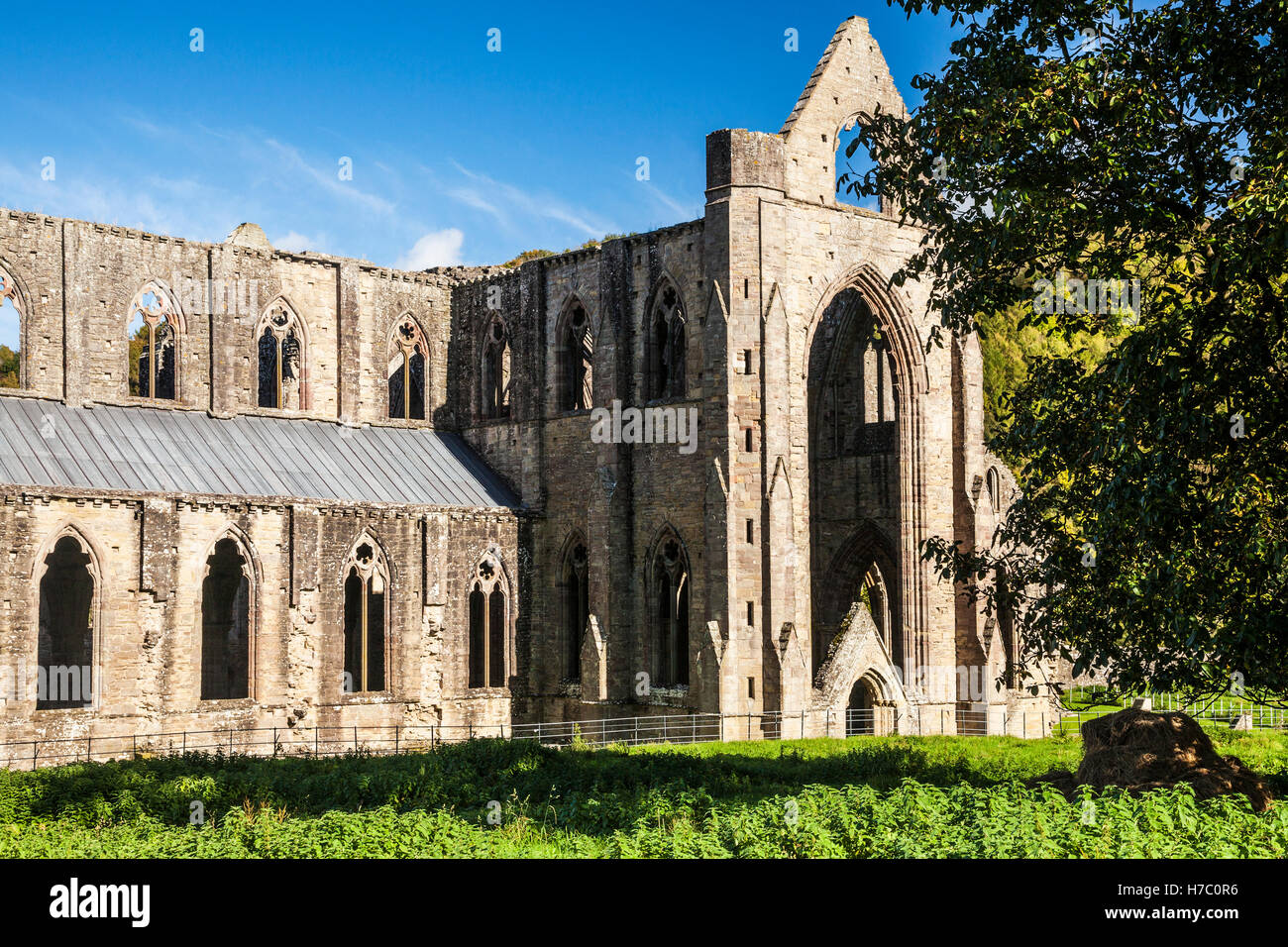 Welsh ruins hi-res stock photography and images - Alamy