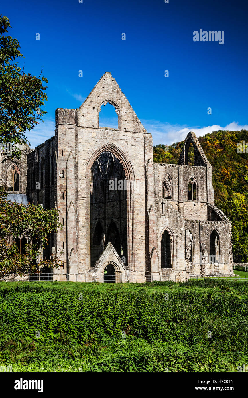 Tintern Abbey in Monmouthshire, Wales Stock Photo - Alamy
