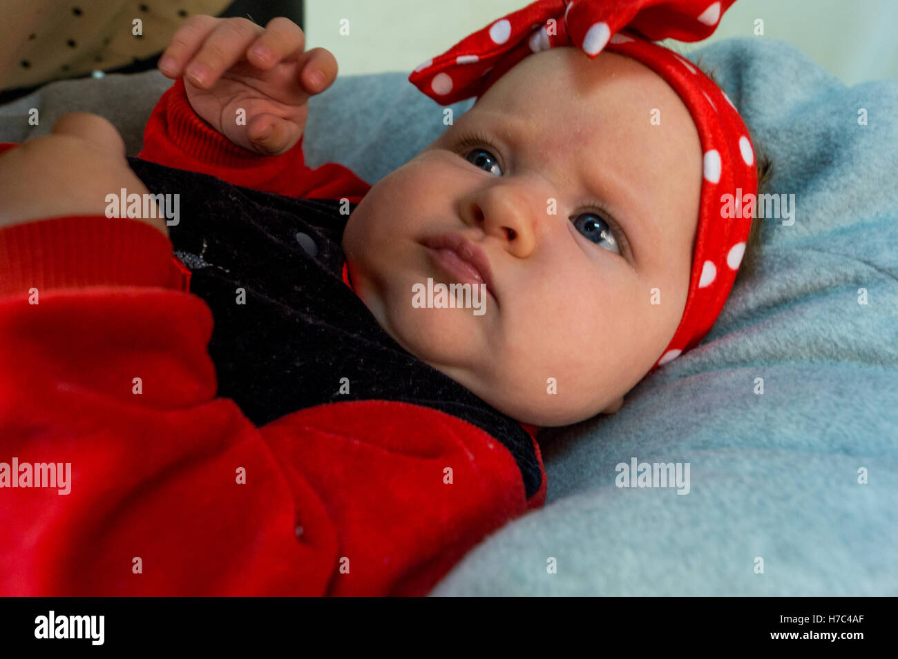 Portrait of 3 months baby girl Stock Photo - Alamy
