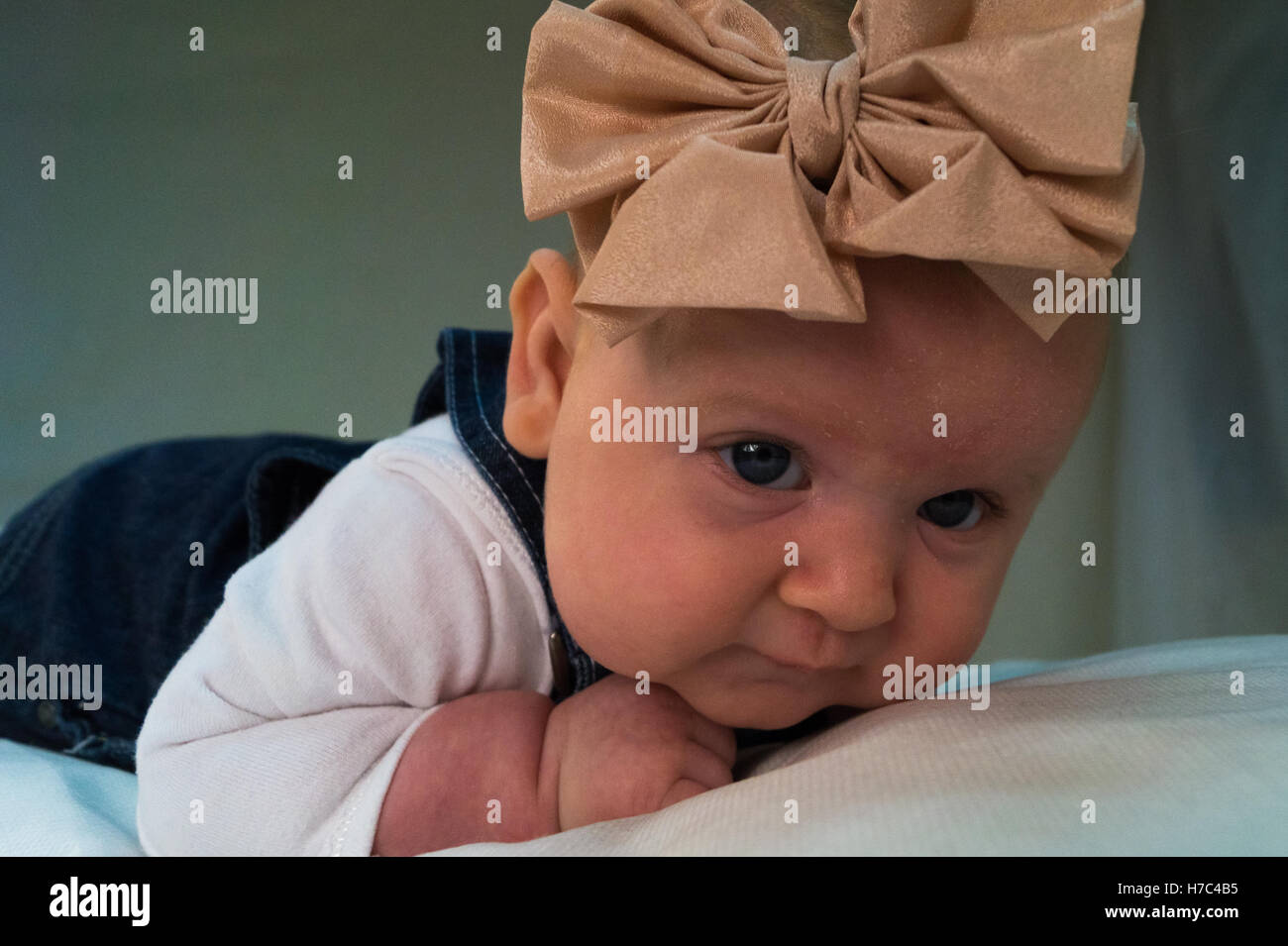 Portrait of 3 months baby girl Stock Photo - Alamy
