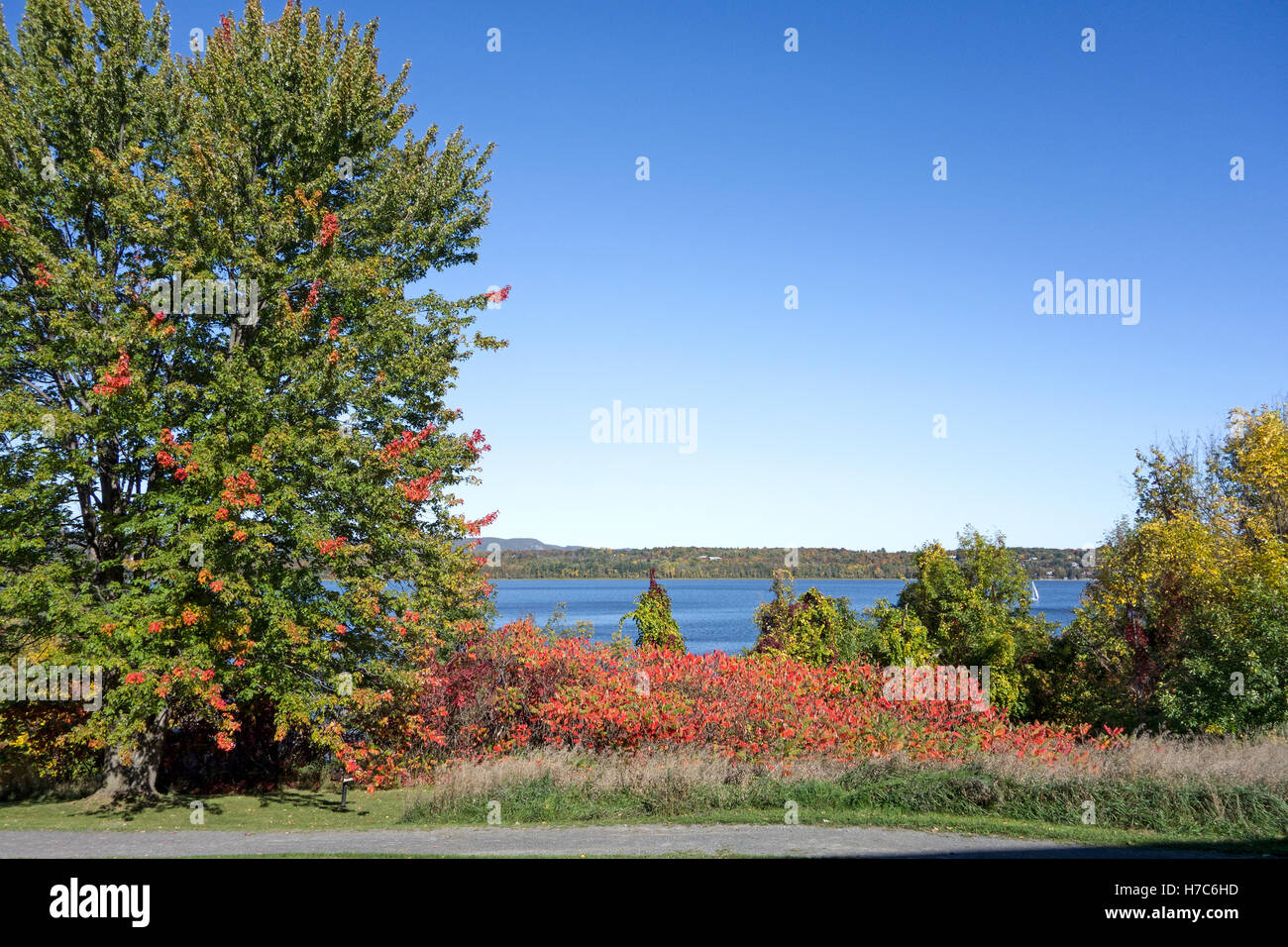 Red river maple hi-res stock photography and images - Alamy