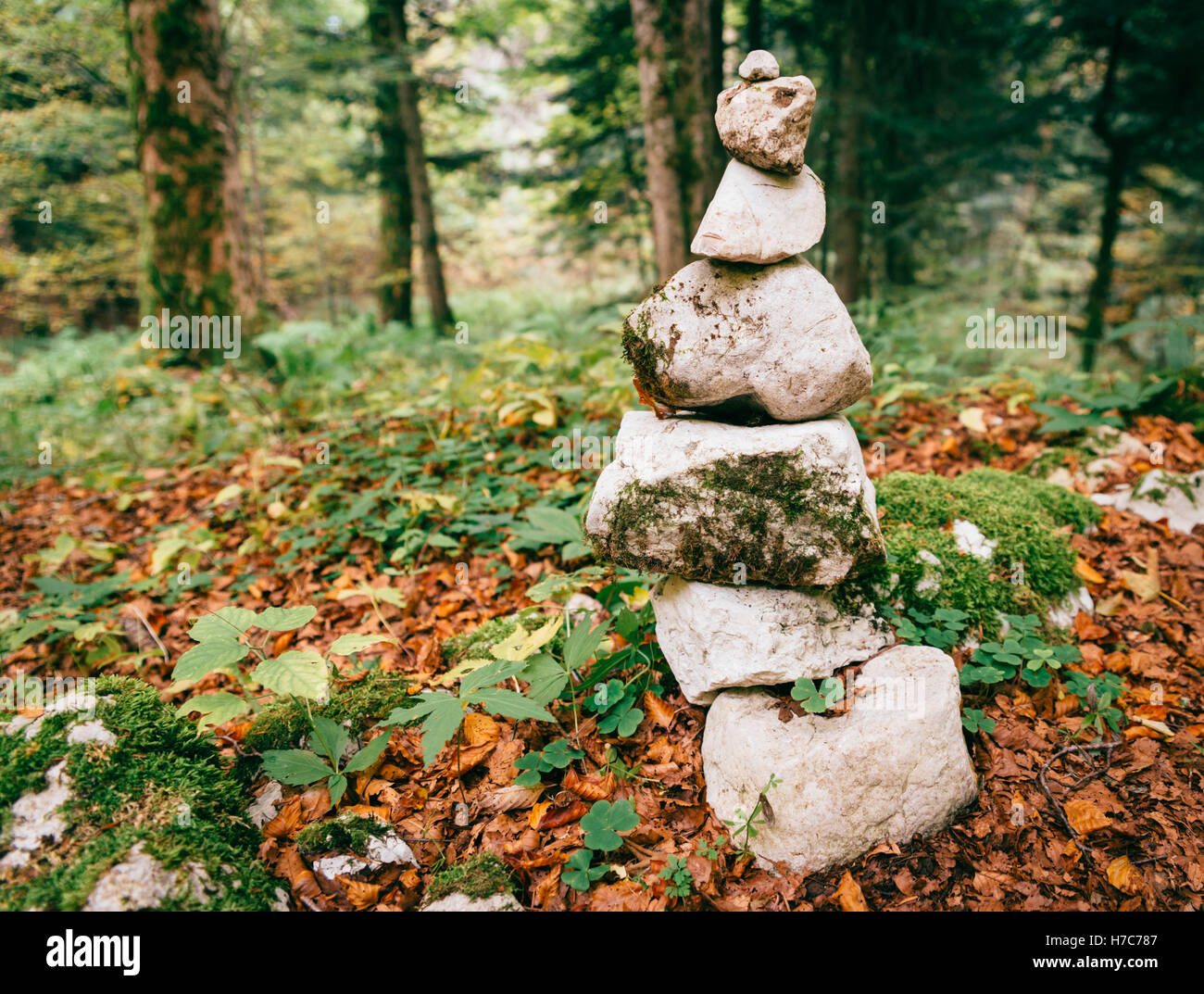 Rocks on hiking trail Stock Photo - Alamy