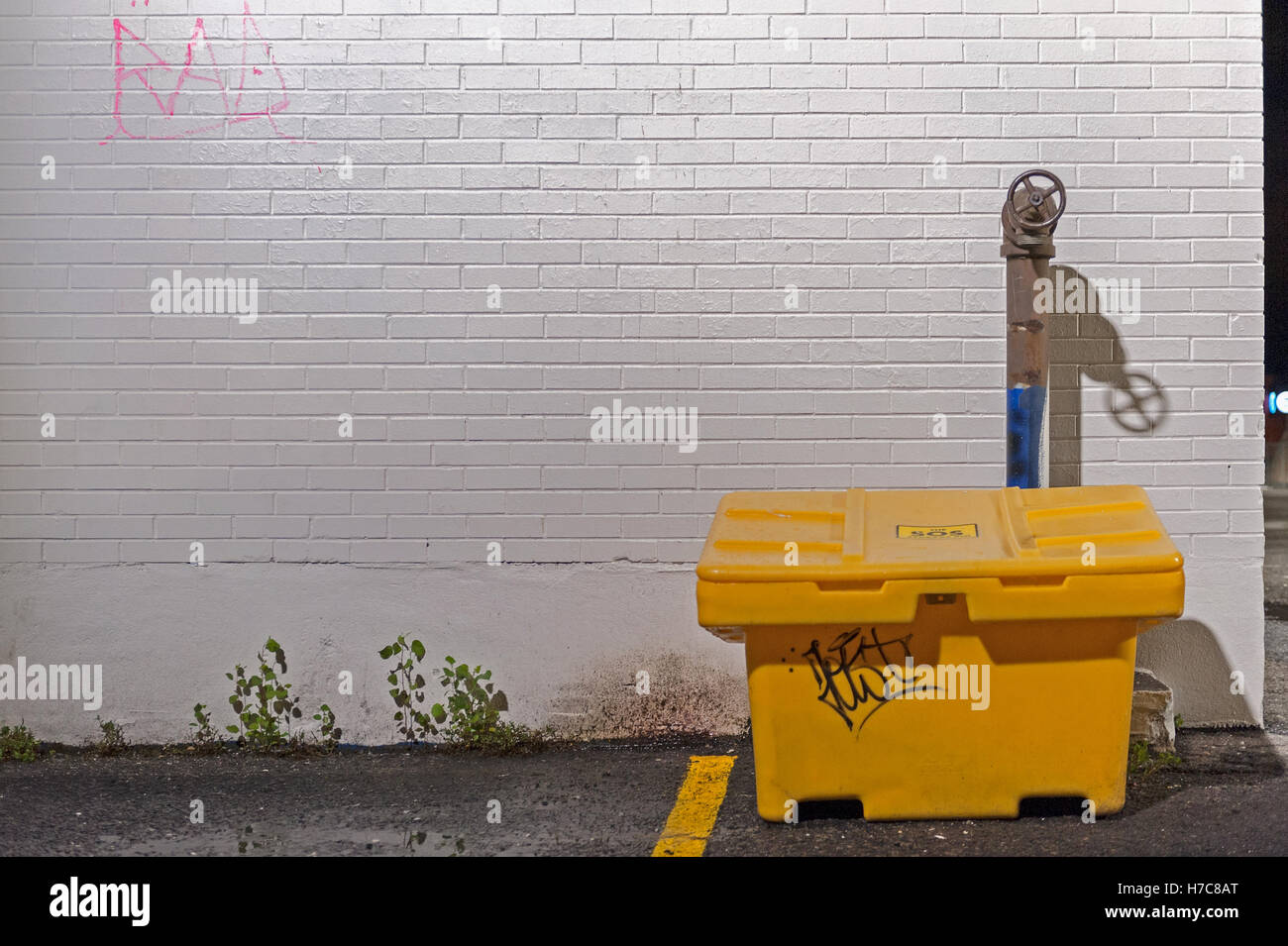 Yellow weeds hi-res stock photography and images - Alamy