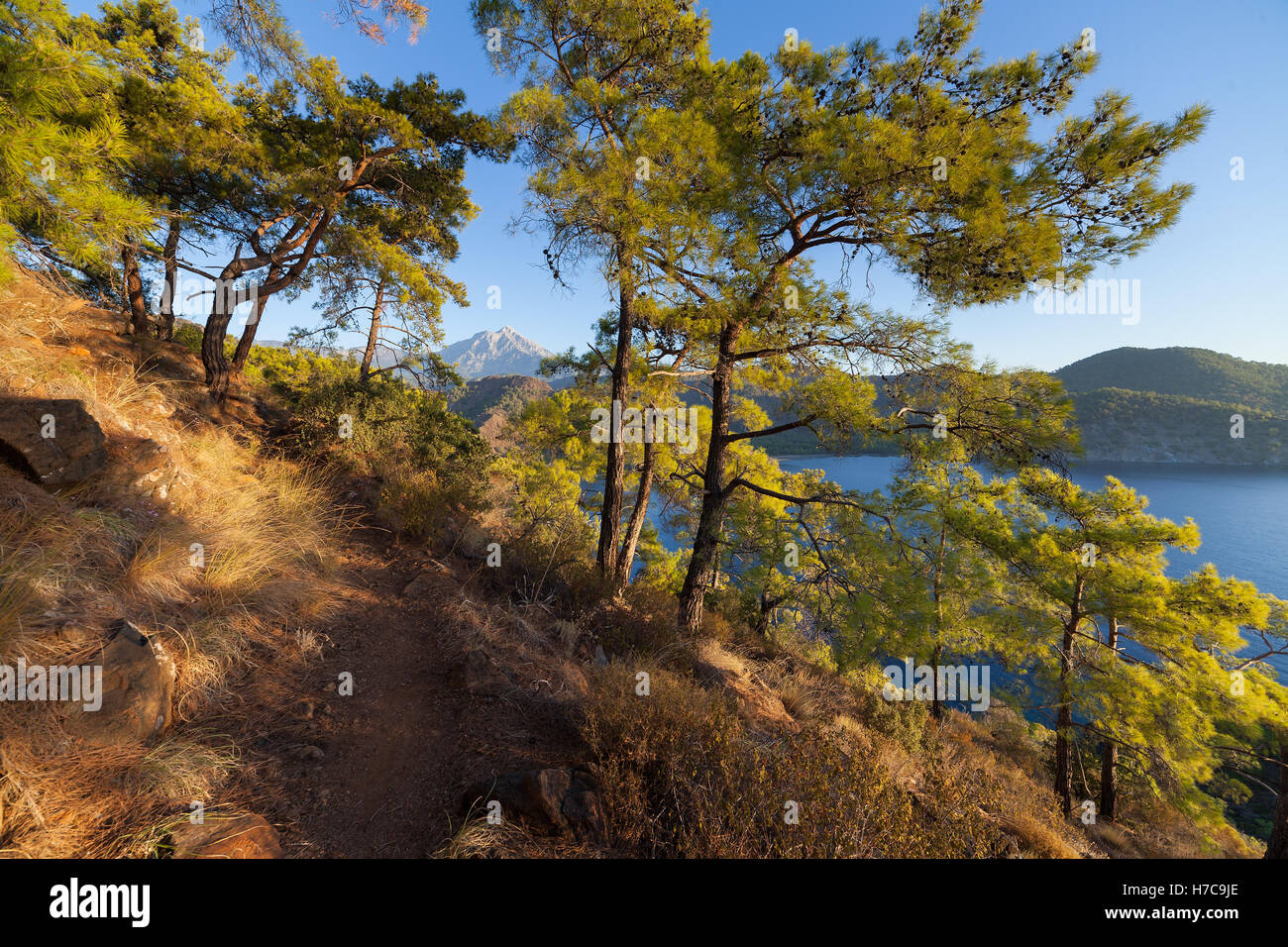 Turkish landscape with Olympos mountain, beach green forest Stock Photo ...