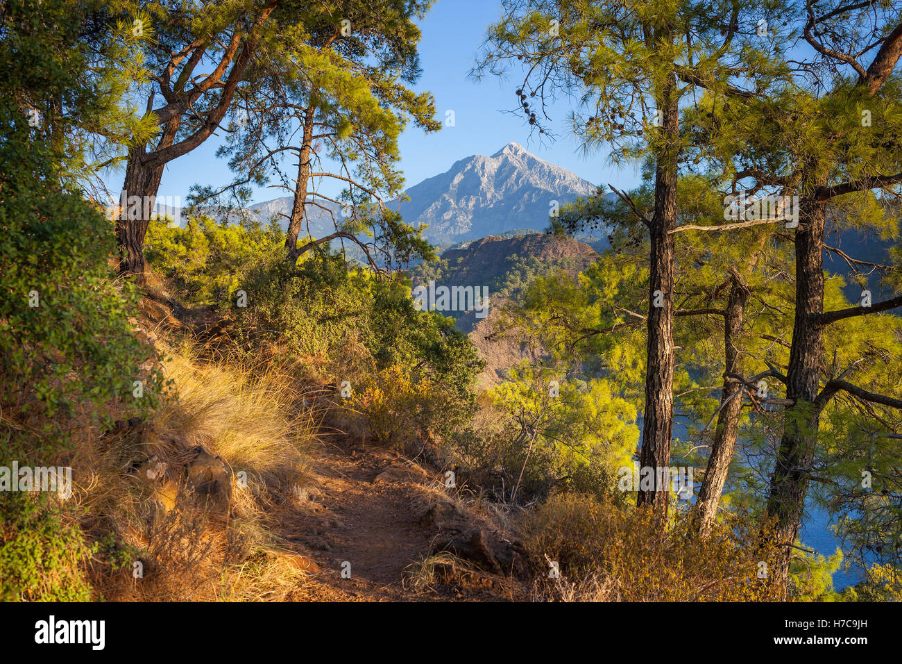 Turkish landscape with Olympos mountain, beach green forest Stock Photo ...