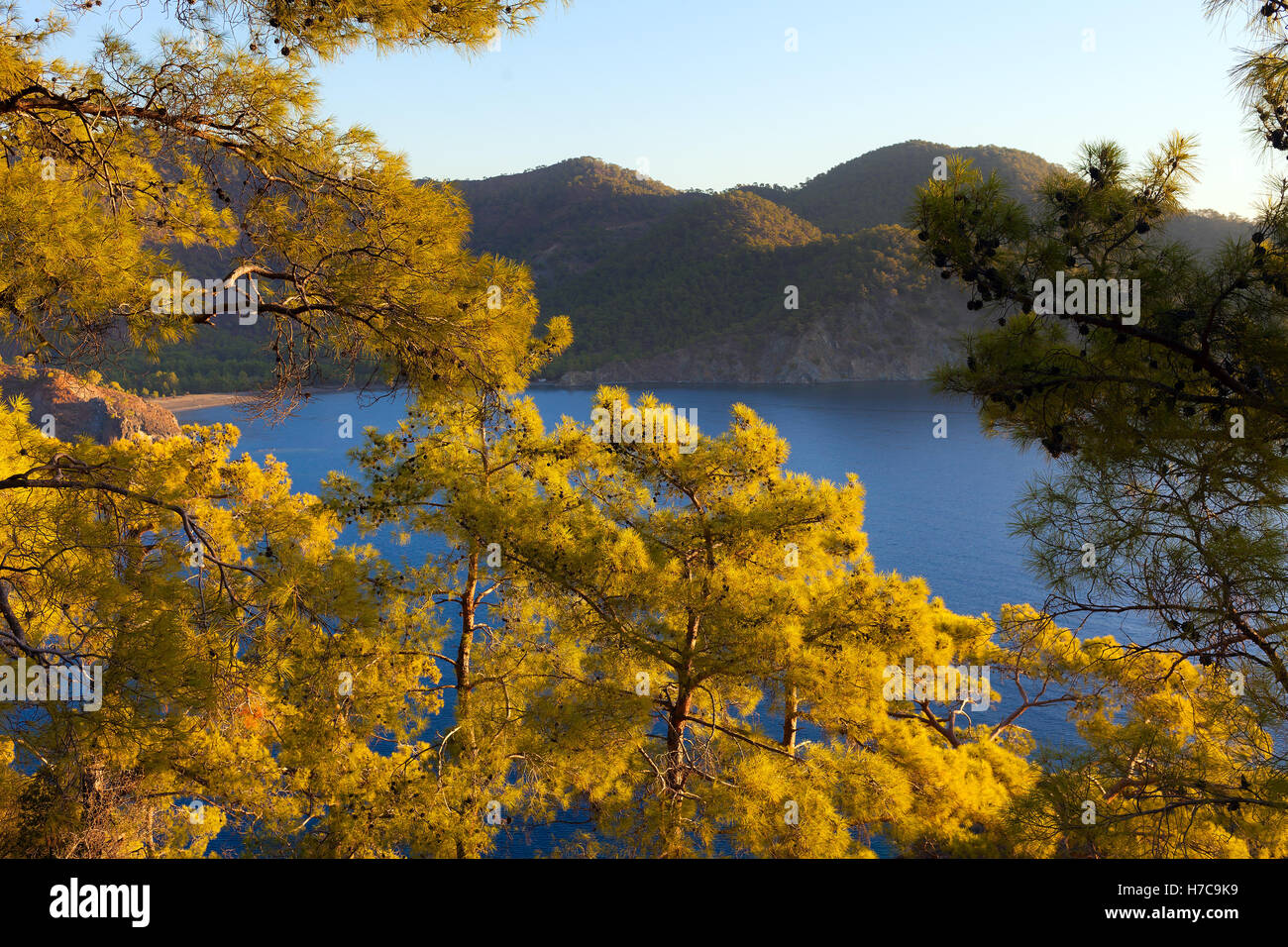 Turkish landscape with Olympos mountain, beach green forest Stock Photo ...