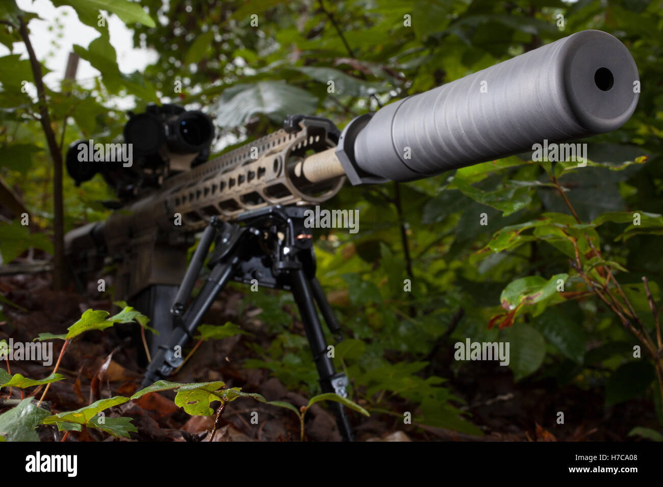 Semi automatic rifles hi-res stock photography and images - Alamy