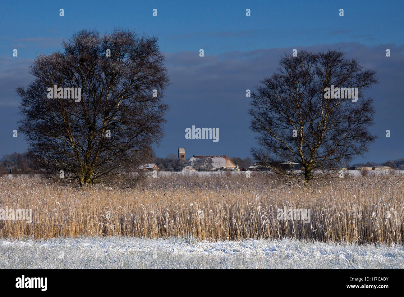 Friesland snow wijckel winter hi-res stock photography and images - Alamy