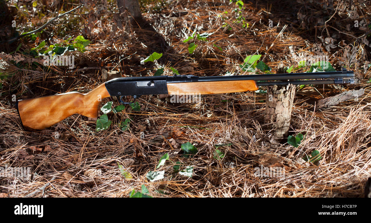 Rimfire hi-res stock photography and images - Alamy