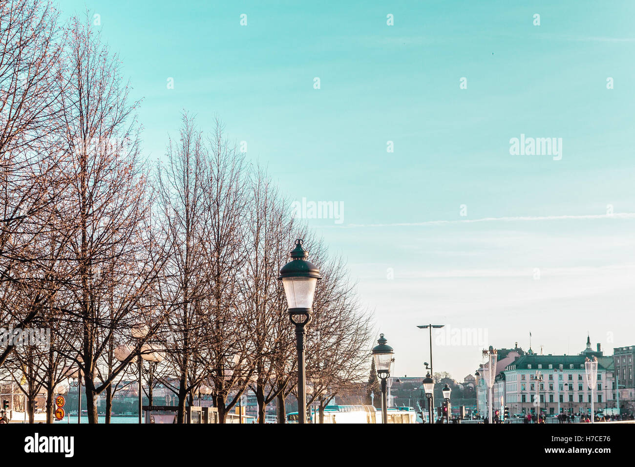 Photo of Park and Trees in Stockholm, Sweden Stock Photo - Alamy