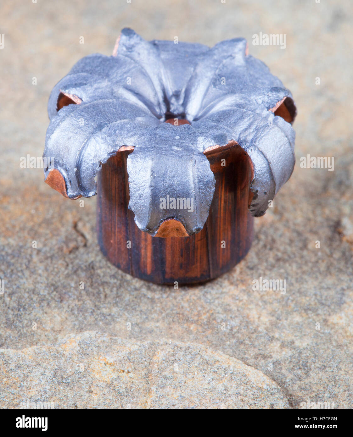 Handgun bullet with a hollow point after it has hit the target Stock ...