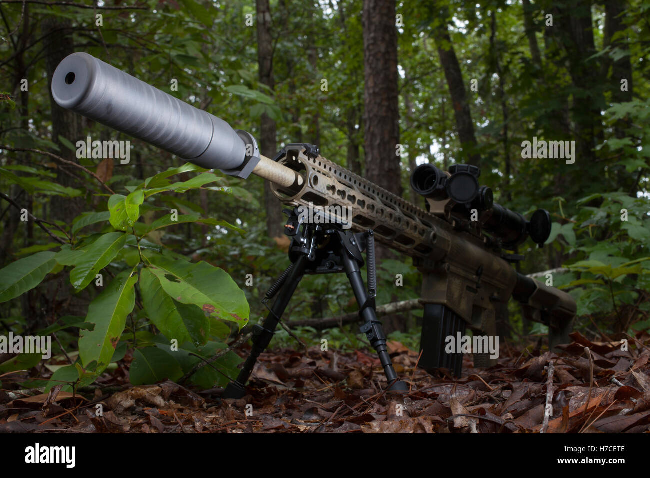 Modern sporting rifle with a suppressor in a forest Stock Photo - Alamy
