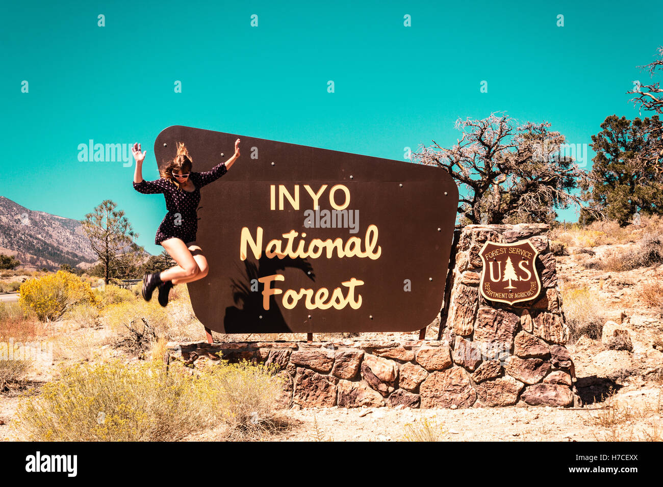 Route 66 road trip joy hi-res stock photography and images - Alamy