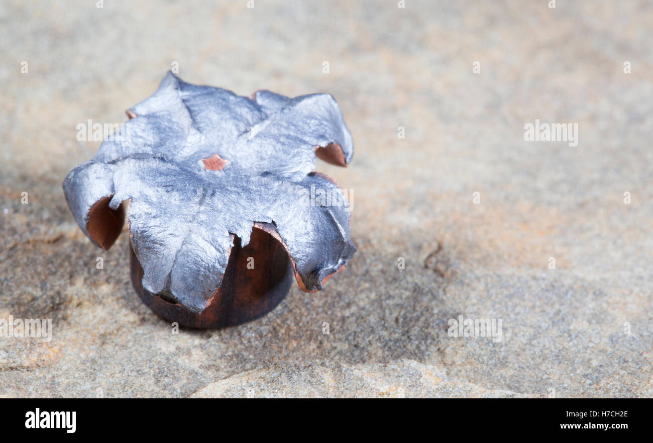 Expanded copper and lead hollow point bullet after impact Stock Photo ...