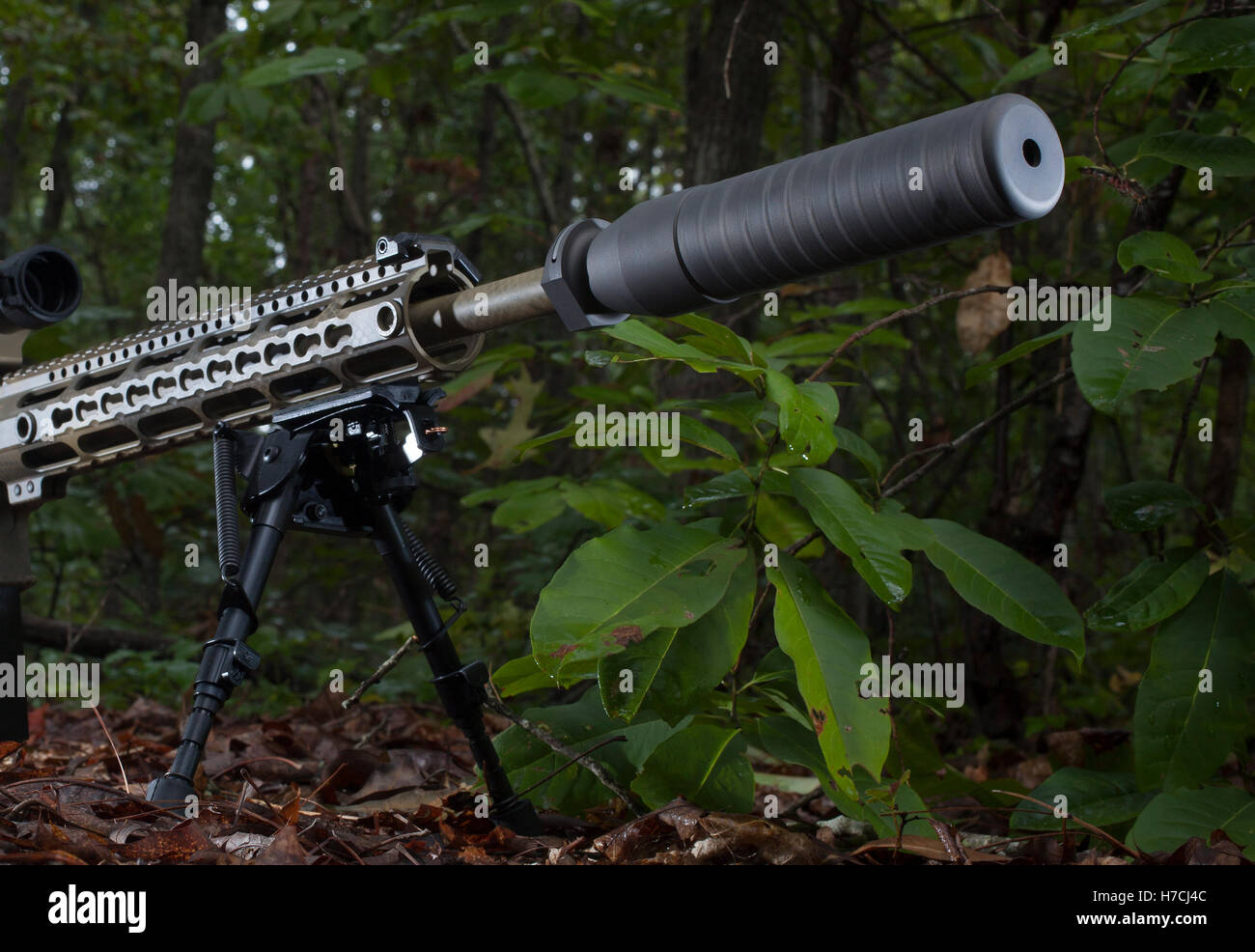Silencer on a semi automatic rifle in the forest Stock Photo - Alamy