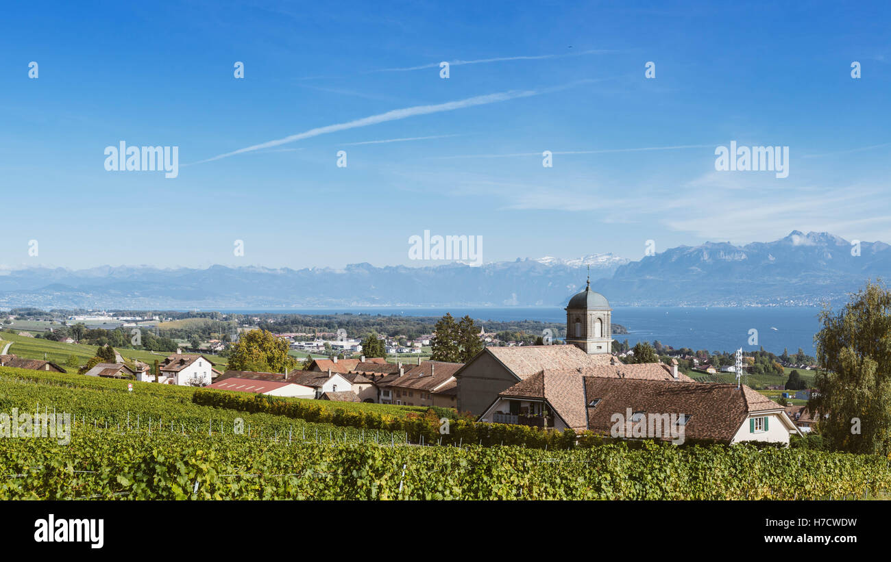 Beautiful vineyards in switzerland hi-res stock photography and images ...