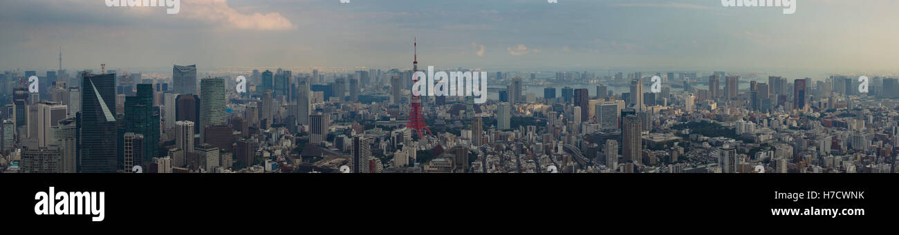 Tokyo panorama hi-res stock photography and images - Alamy