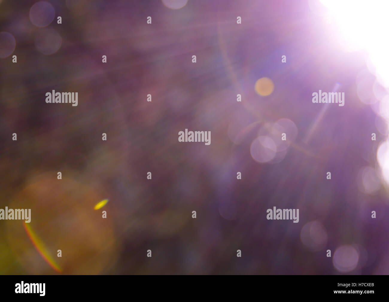 Abstract circles from the sun and lens flare - background in pink ...