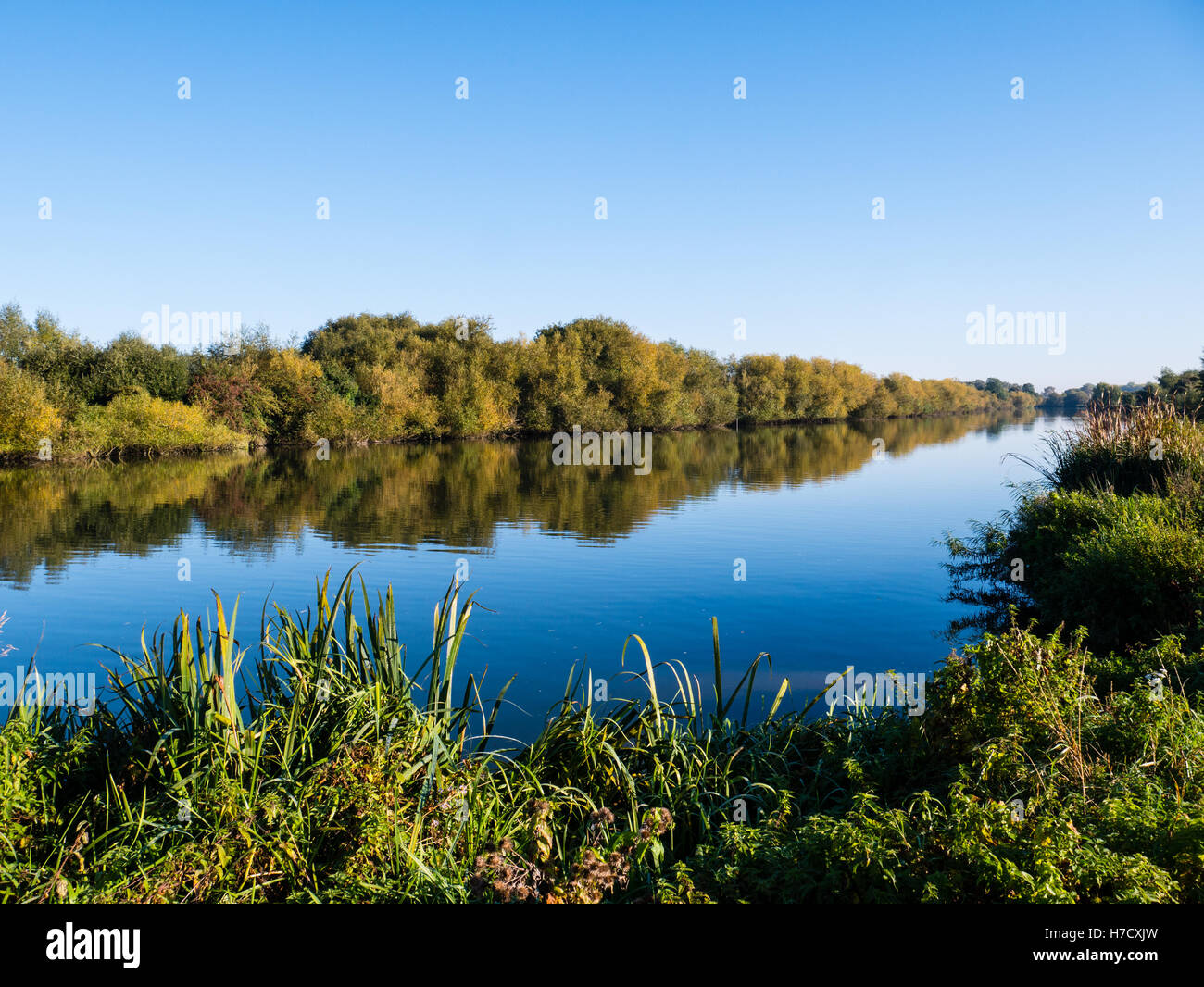 Beautiful Summer Landscape of The River Thames, Reading, Berkshire ...