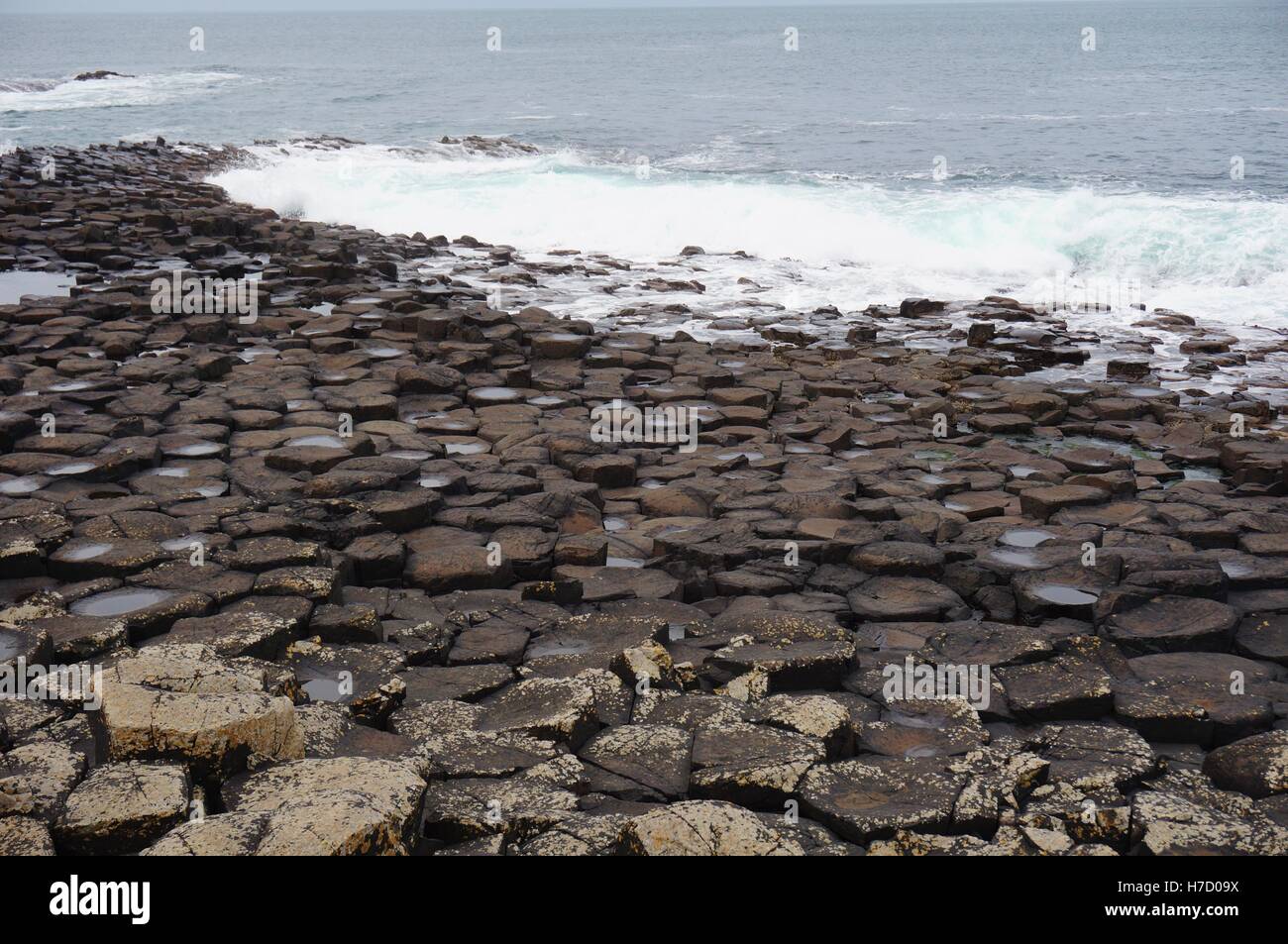 Giant's Causeway hexagonal interlocking basalt column rocks in Northern ...
