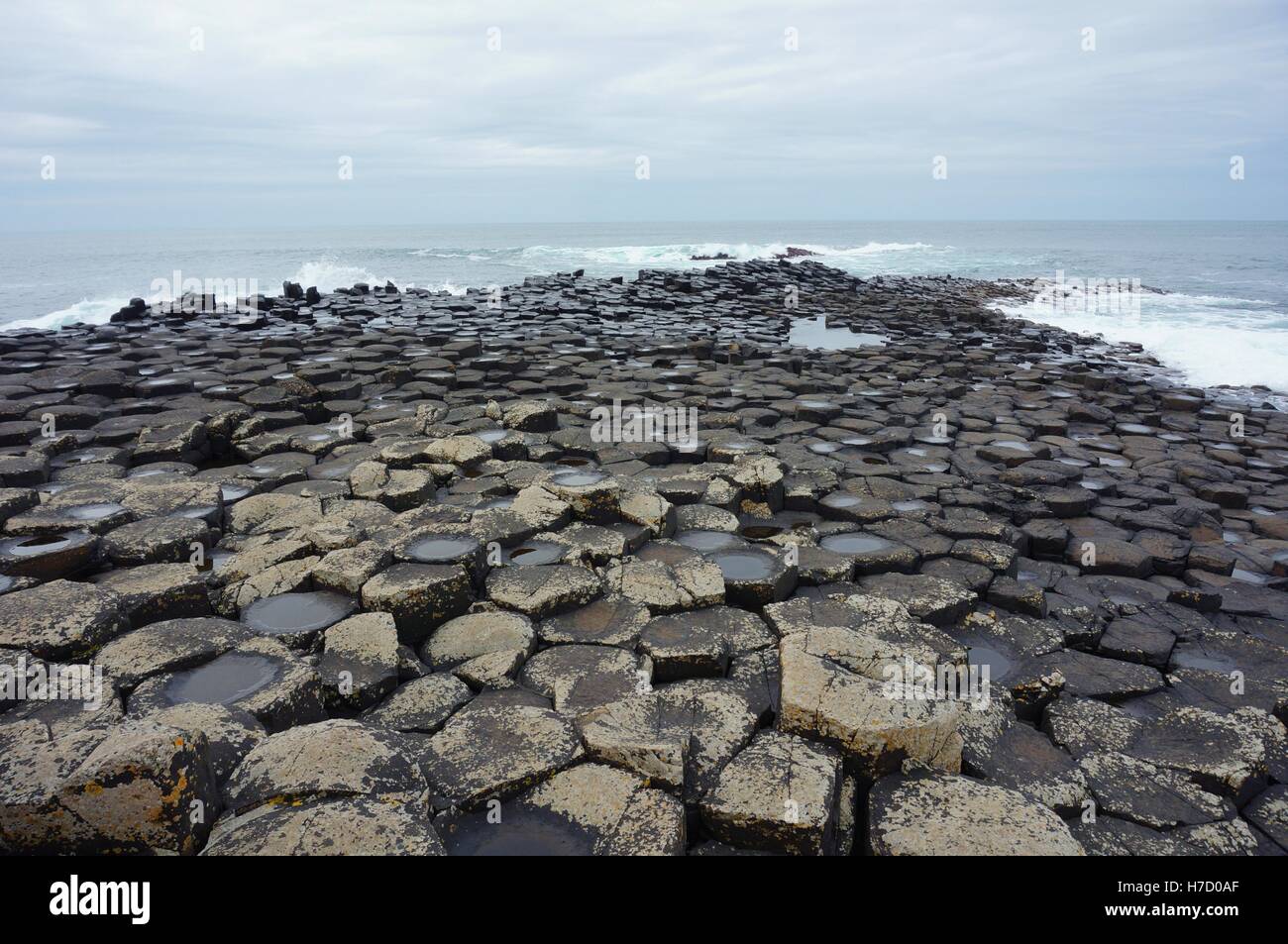 Giant's Causeway hexagonal interlocking basalt column rocks in Northern ...