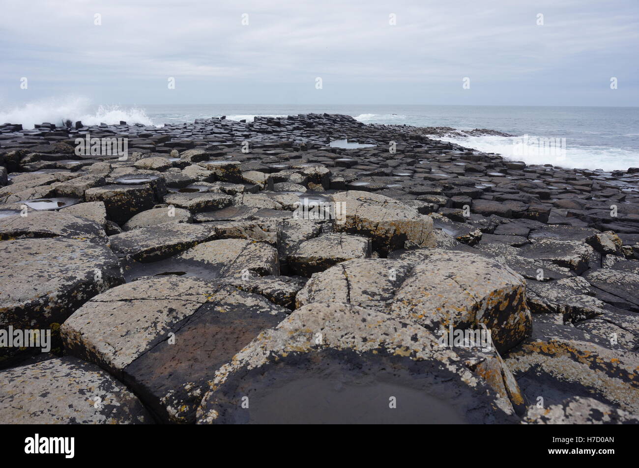 Giant's Causeway hexagonal interlocking basalt column rocks in Northern ...