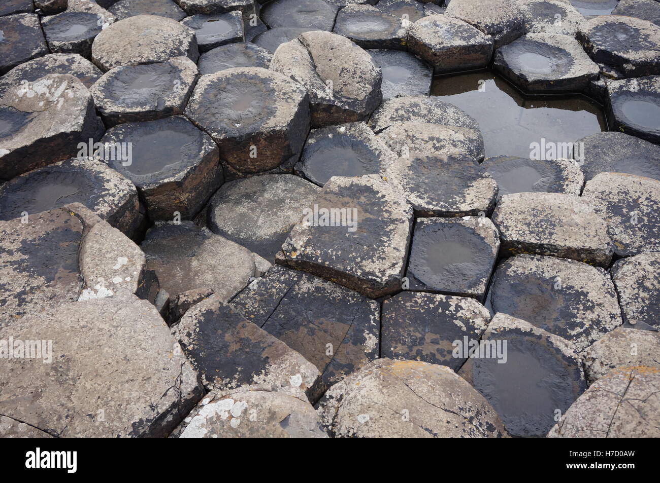 Giant's Causeway hexagonal interlocking basalt column rocks in Northern ...
