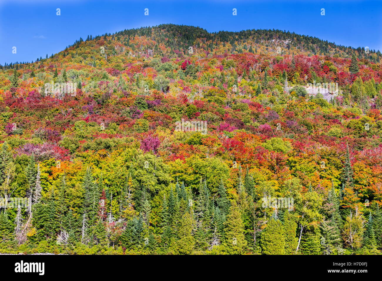 Autumn beginning to take affect on cottage country in the Quebec north ...