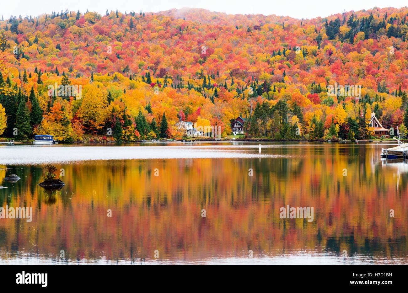 Autumn beginning to take affect on cottage country in the Quebec north ...