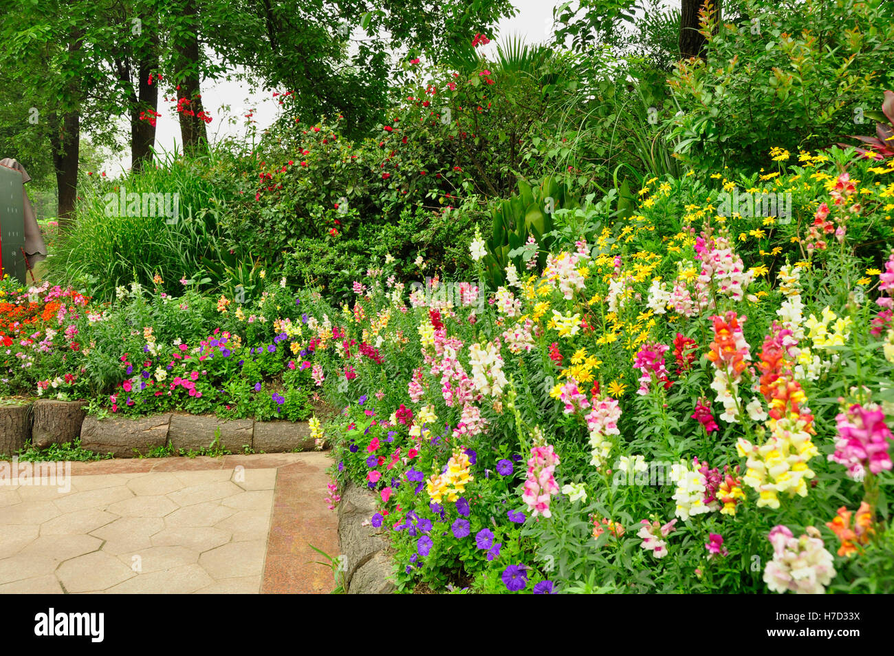 Various plants and flowers Stock Photo - Alamy
