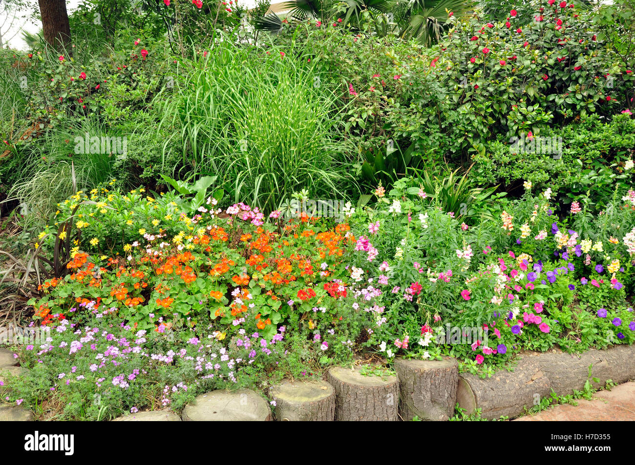 Various plants and flowers Stock Photo - Alamy
