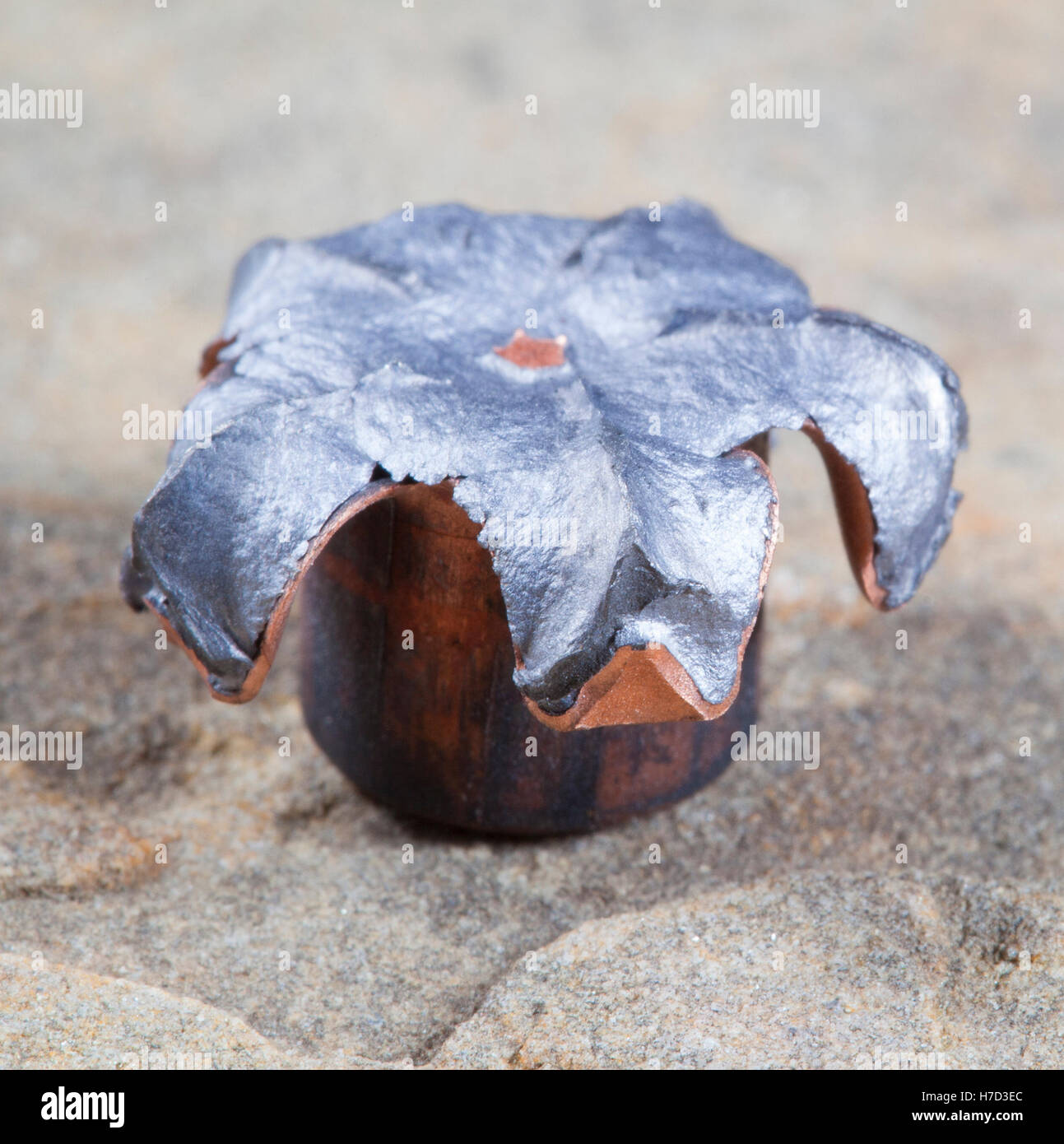 Hollow point bullet in the shape of a mushroom after a hit Stock Photo ...