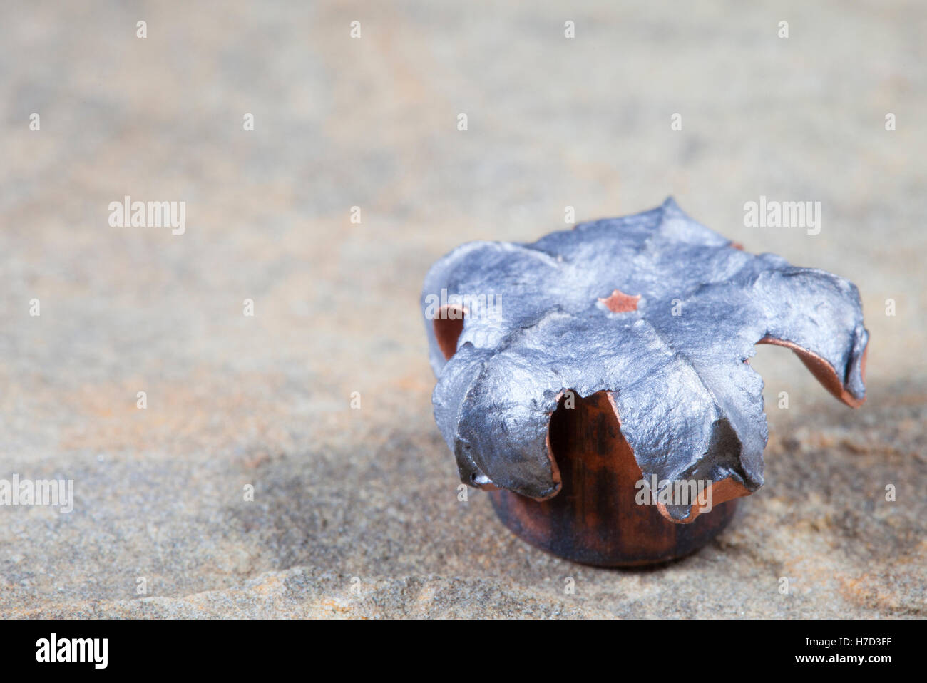 Widened hollow point bullet with a copper jacket after hitting a target ...